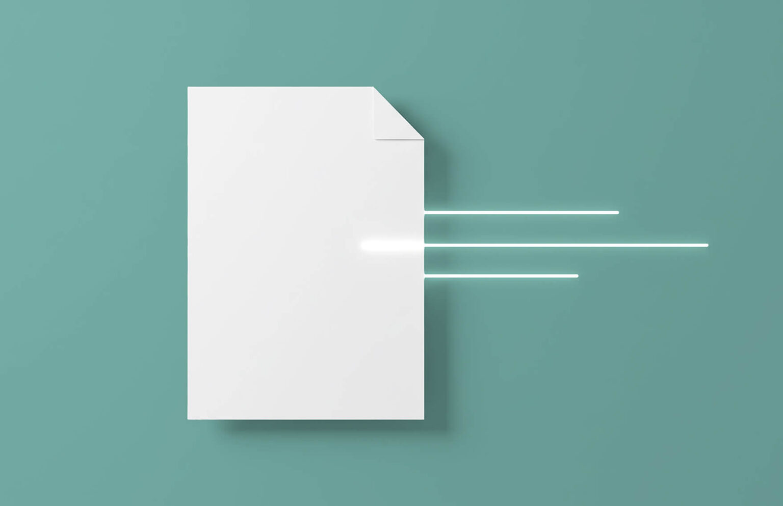 Suppliers - Olea - Simplifying global trade